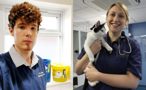 Spotlight on Internal Medicine - Lumbry Park Veterinary Specialists